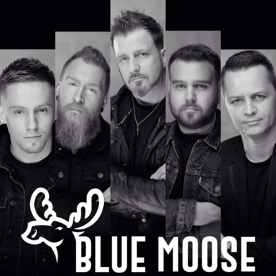 Blue Moose - Best Wedding Bands