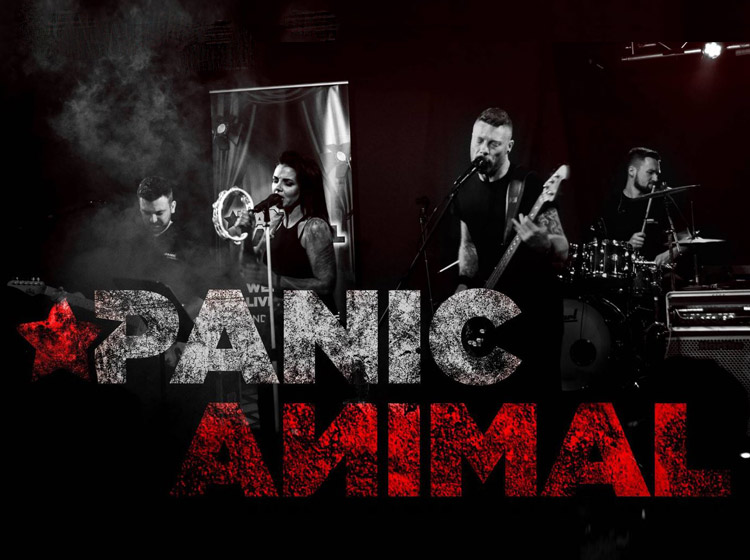 Panic Animal - Best Wedding Bands
